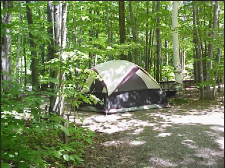 Tent And Tear Drop Electric Site - Wellsboro, PA
