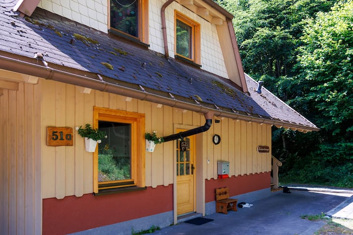 Ferienwohnung 2 - Hornberg