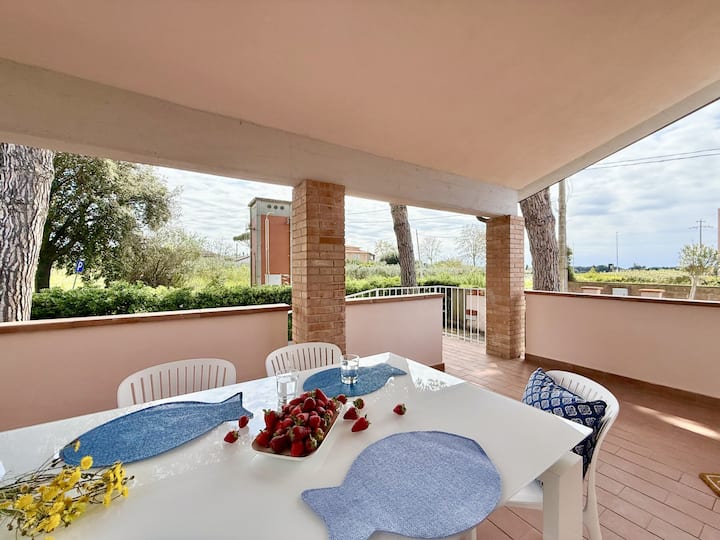 Solaria - San Vincenzo