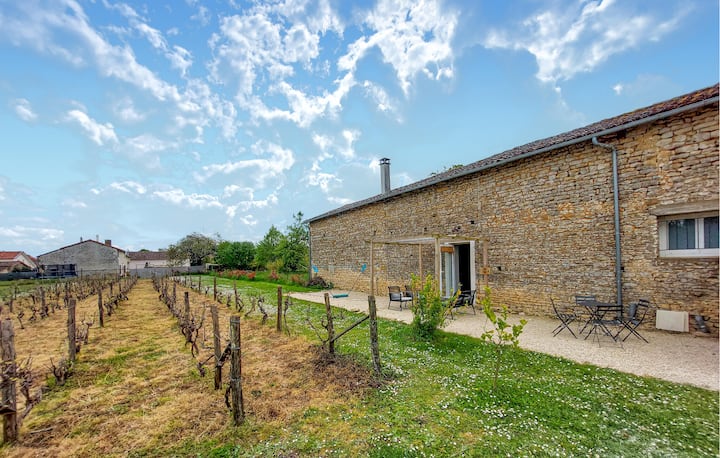Holiday Gite On A Vineyard - La Vallée Des Singes