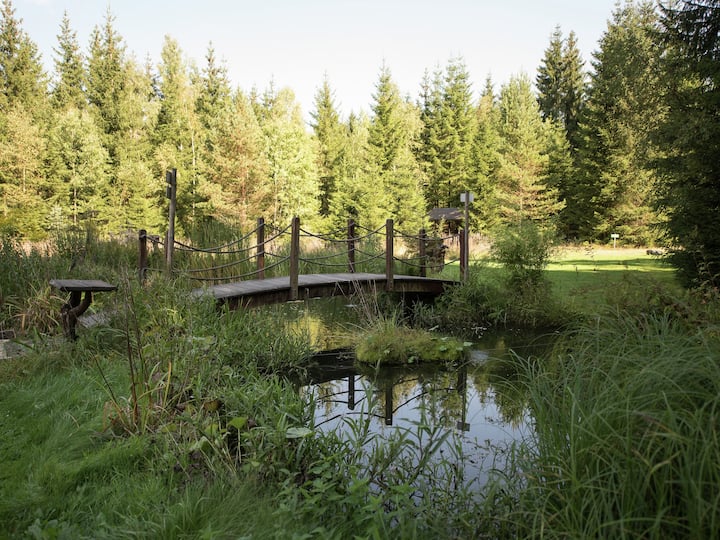 Retraite En Forêt à Jägersgrün - Auerbach/Vogtland