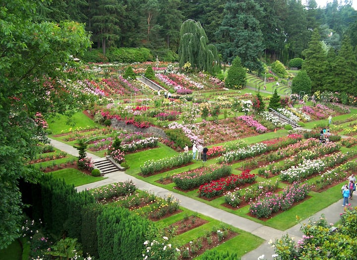 Pet-friendly Retreat W/ Kitchen Near Oregon Zoo - Gresham, OR