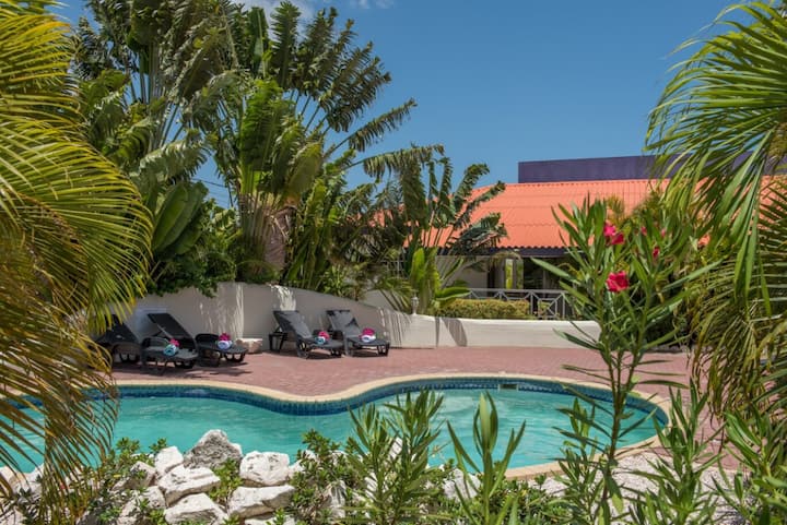 Blue Marlin Apartments, Close To Mambo Beach - Curaçao