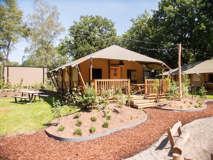 Safaritent 6 Personen - Barneveld