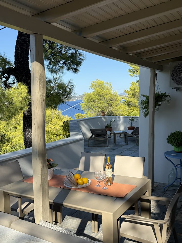 Villa Dorothea - 斯基亞索斯島