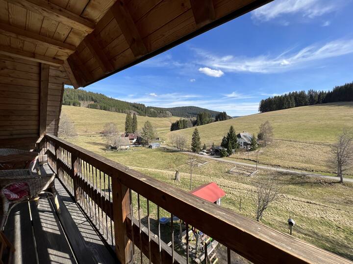 Ferienwohnung Sternschnuppe, 90 Qm - Titisee-Neustadt
