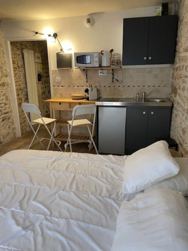 Studio Avec Pierres Apparentes Vieux Lyon - Lyon