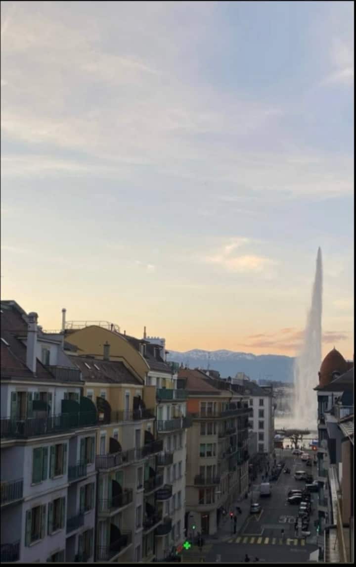 Charming 1 Bedroom Flat - Genève