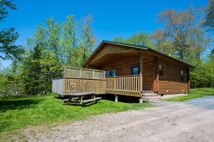 Rabbit Furrow - Truro