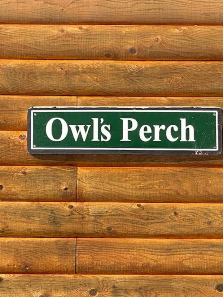 Owl Perch - Truro