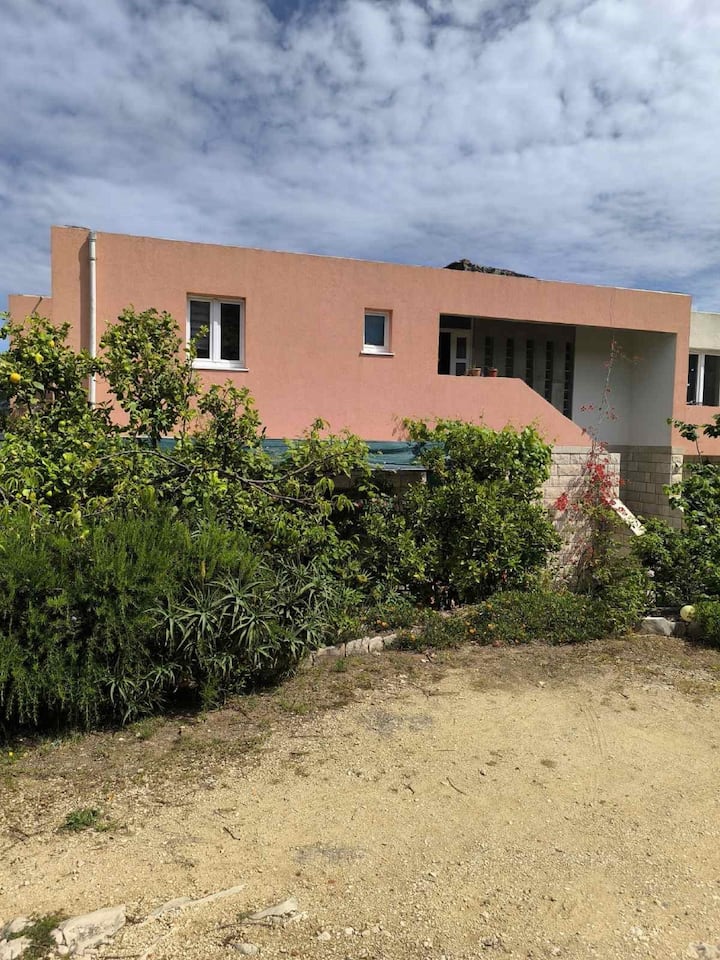 Two-bedroom Apartment/terrace And Sea View (A1) - Korčula