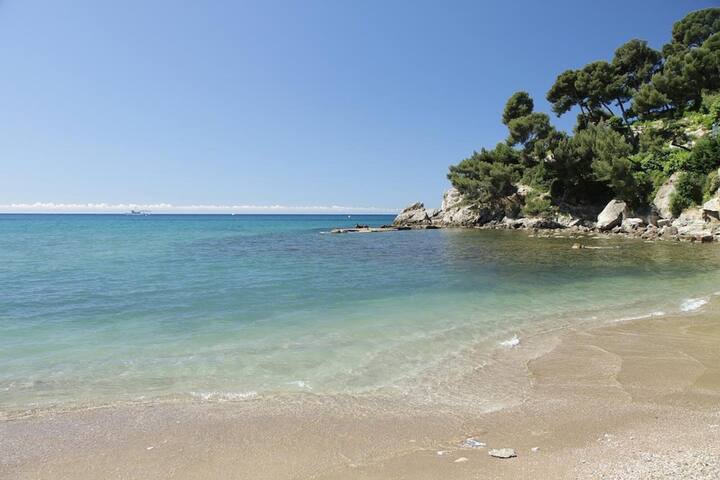 Studio Proche Des Plages - Le Pradet