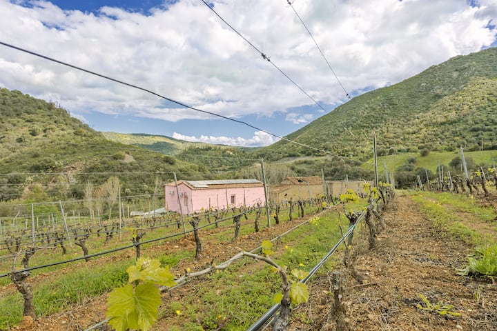 Podere Is Tres Fradis - Cardedu