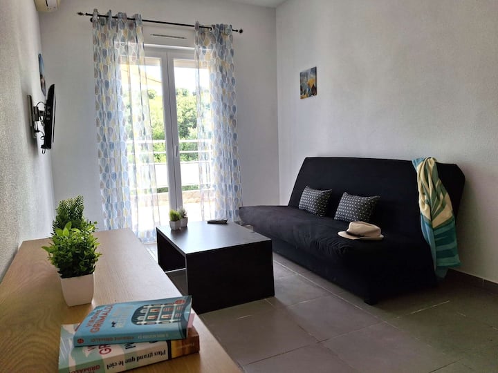 Saint-florent Appartement Terrasse Et  Piscine - Plage de Saleccia