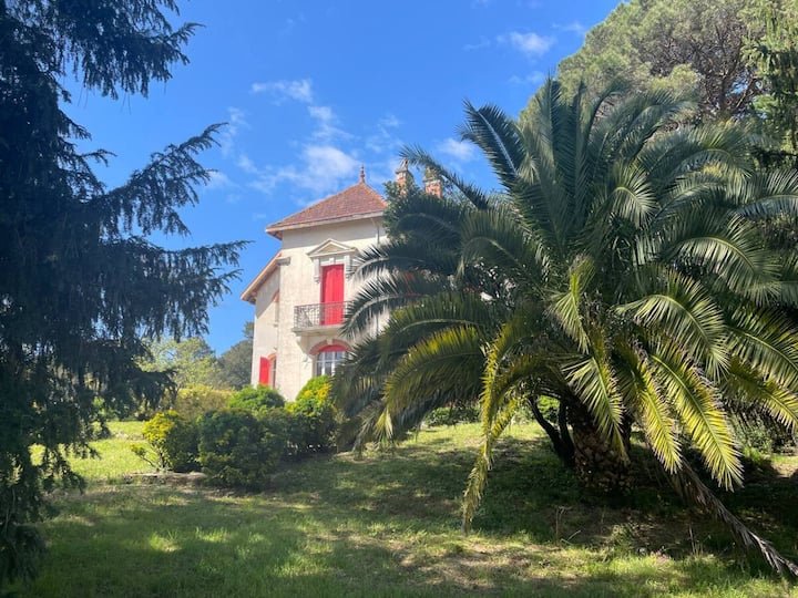 Lingaillat - Vieux-Boucau-les-Bains