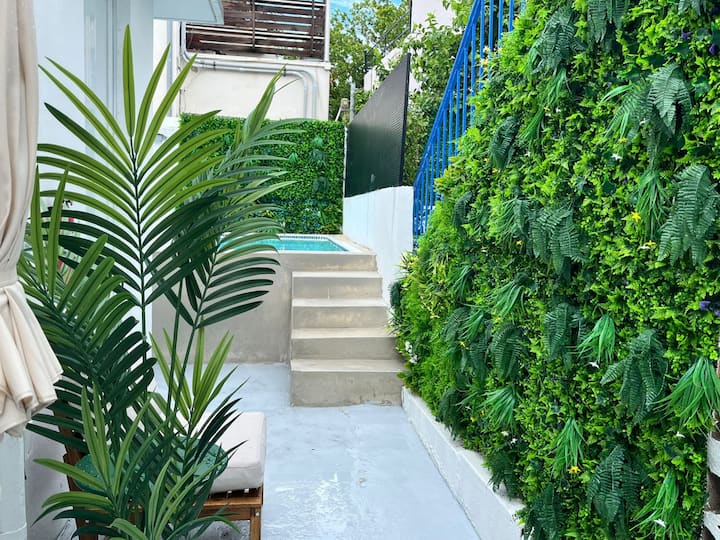 Portocafe Ocean Park Home 5bd/4b Pool Walktobeach - San Juan, Puerto Rico