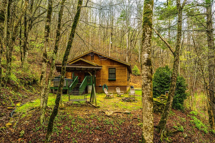 Dragonfly Cabin | Backyard Waterfall, Hot Tub - Bryson City, NC