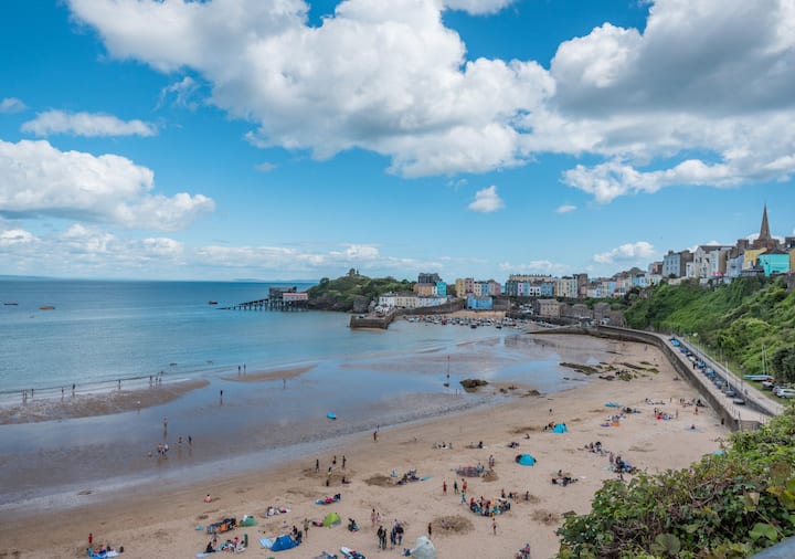 White Rose 4 - Tenby
