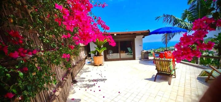 Villa Panorama Isola Di Ischia - Ischia