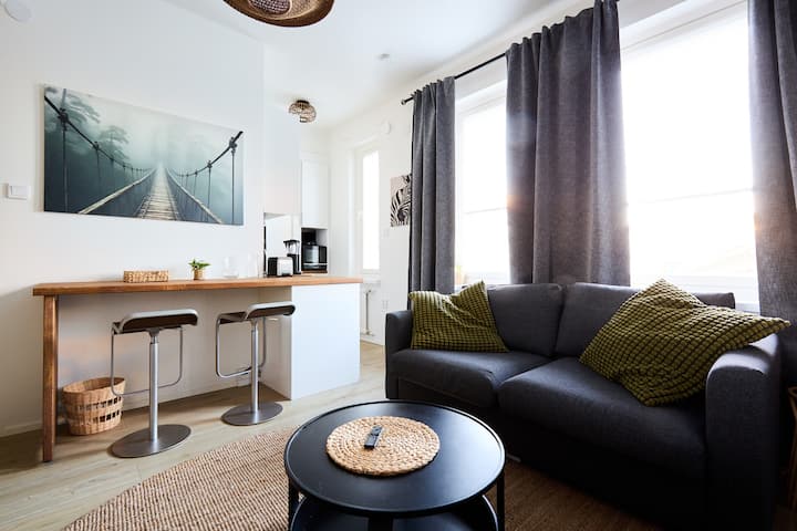 Renovated Studio Apt. In The Heart Of Turku - Turku