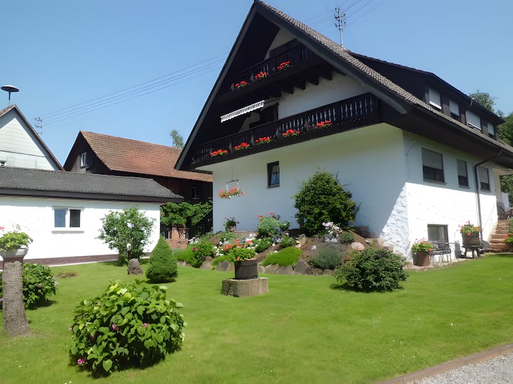 Ferienapartment Karle - Gengenbach