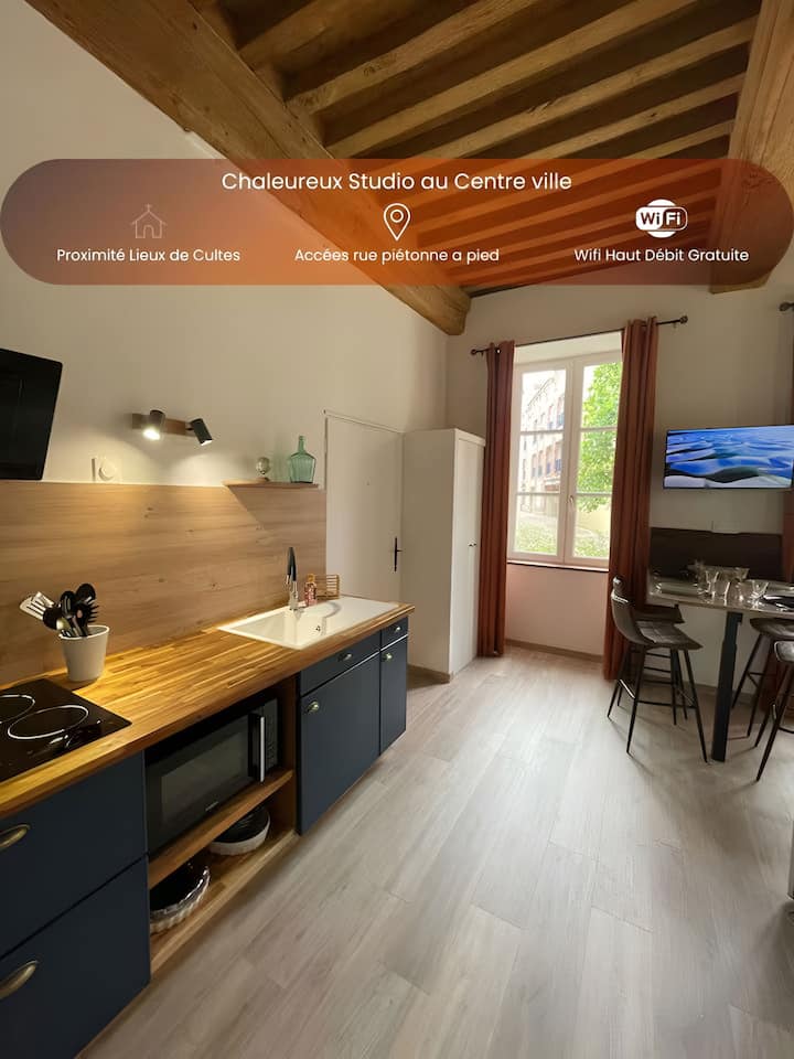Chaleureux Studio - Au Coeur Du Centre Ville - Paray-le-Monial