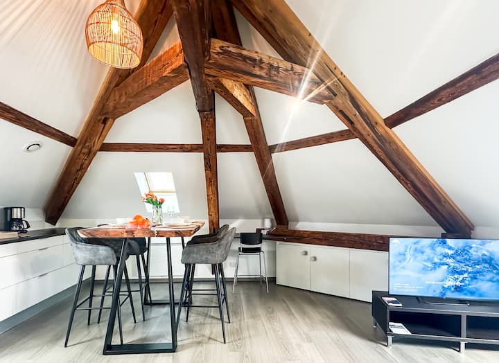 Da Vinci Rue Sommeiller Super Emplacement - Annecy