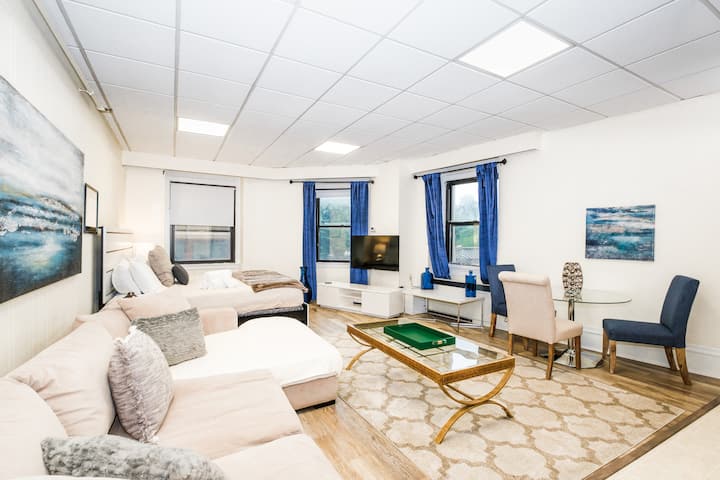 Huge Studio In Downtown Boston 2270 - Bay Village - Boston