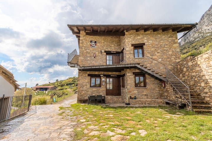 Xisqueta - Campo