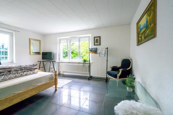 Sunny Suite With Private Balcony In Zürich - Zúrich
