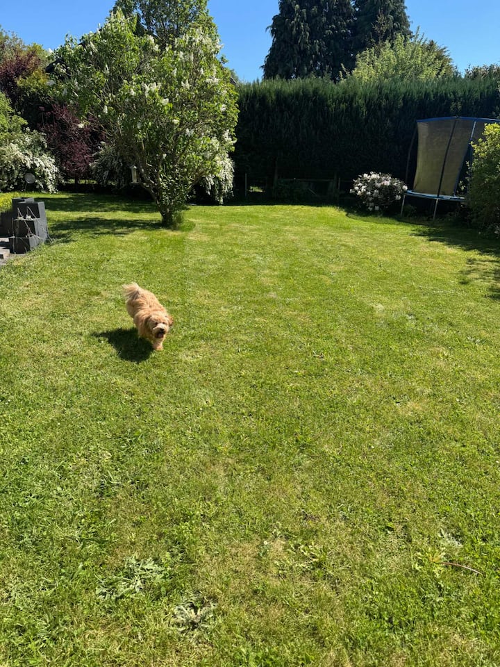 Garden Suite Mit Sauna - Hillesheim