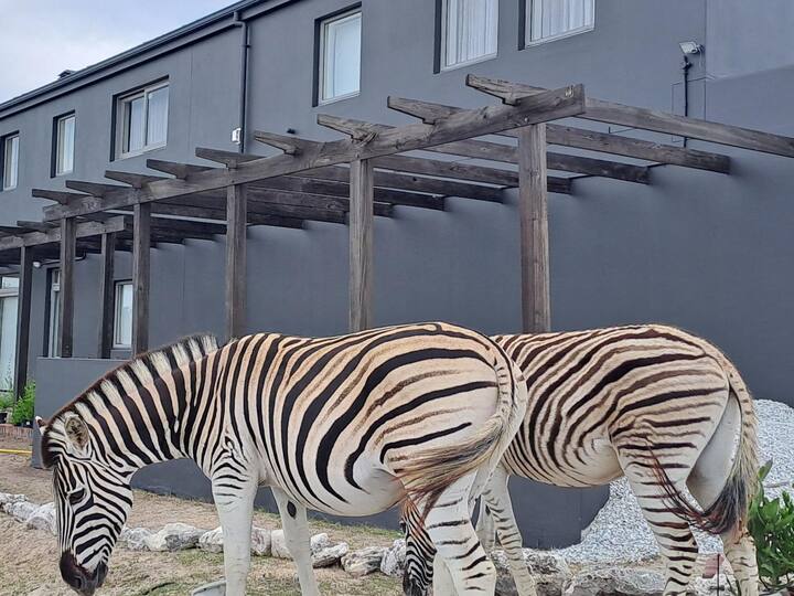 Romansbaai Three Bedroom House - Gansbaai