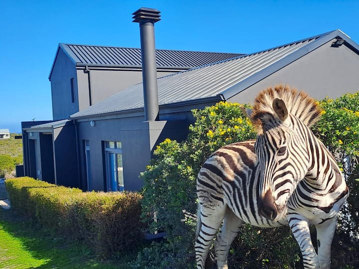 Romansbaai Beach House - 3 Bedroom - Gansbaai