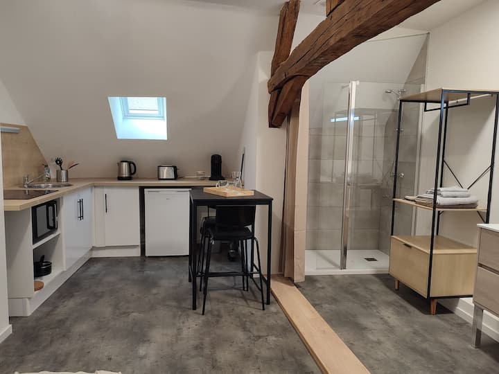 Studio Style Loft Centre-ville - ibis Styles Vierzon