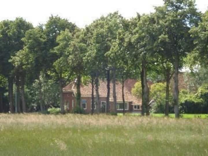De Meesterij - Stadskanaal