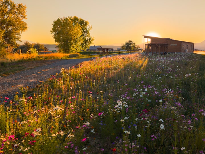 Roam: 2 Lux Cabins – Sleep 16; Kings And Bunks - Cody, WY