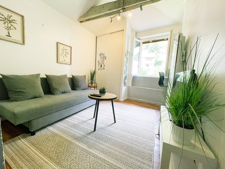 #A6 | Chez Mimi  Studio La Tronche | Near Hospital - Meylan