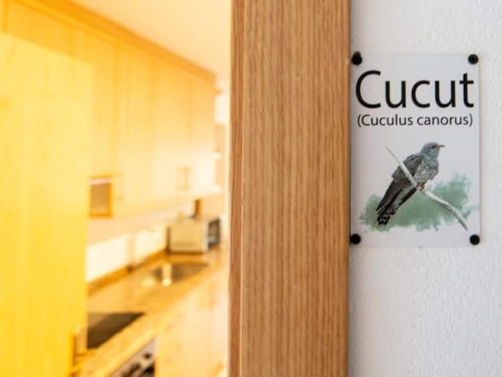 Cucut - L'orri Del Pallars - Rialp