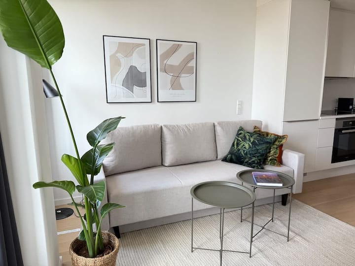 Elegant-moderne-free Parking - Copenhagen