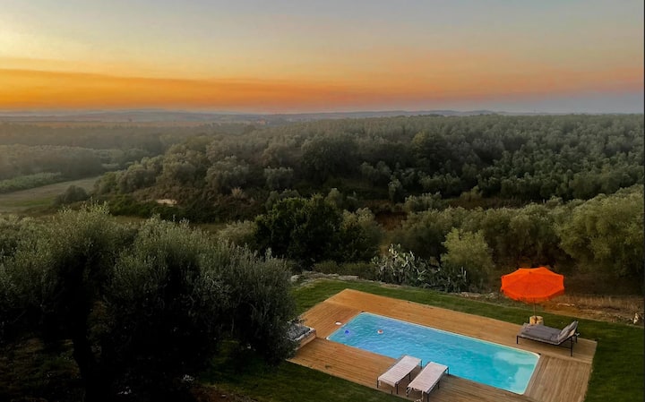 Villa With Swimming Pool (12 Persons) - Tuscania