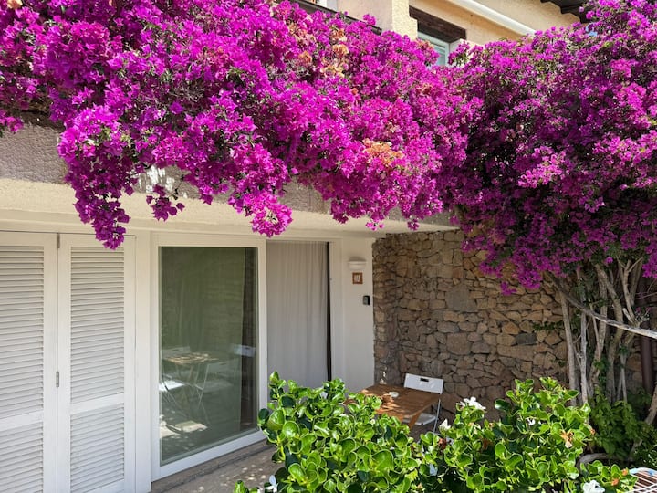 Brorent - Fiori Degli Oleandri - Olbia