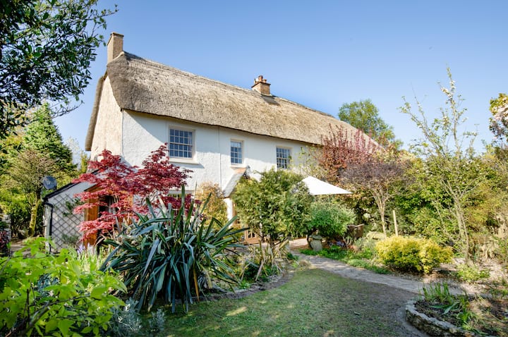 Jasmine Cottage - Sidmouth