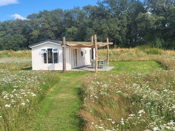 Hoeve Twente - De Wielewaal - Roermond