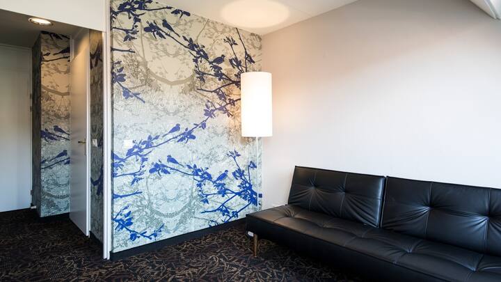 Free Parking And Access To Top Attractions - Oldenzaal