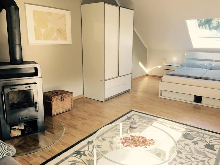 Beautiful 3-room Apartment With Chimney - Ilmenau