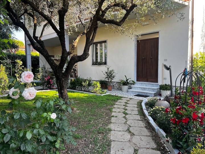 Maison Tondo - Carrara