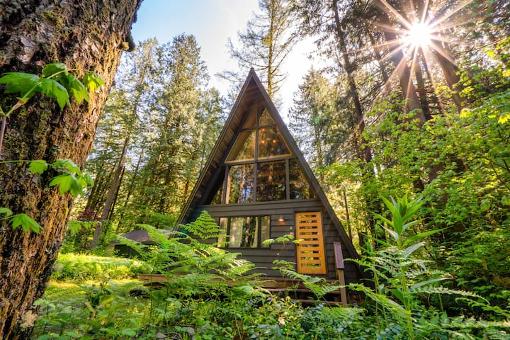Modern A-frame - Hot Tub - Forest Escape - Oregon