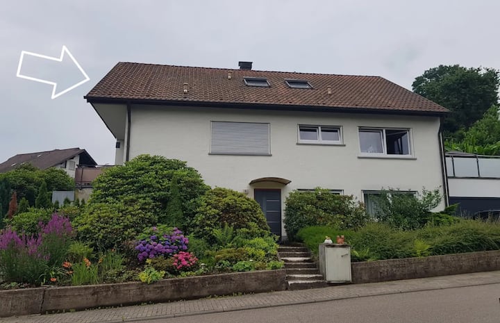 Schusters Murgtalblick - Gernsbach