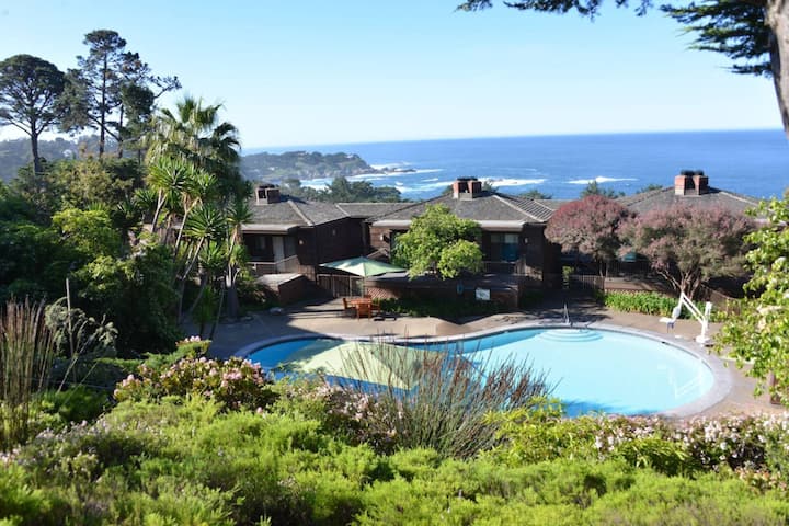 Carmel Highlands! Pacific Paradise For Families! - Big Sur, CA