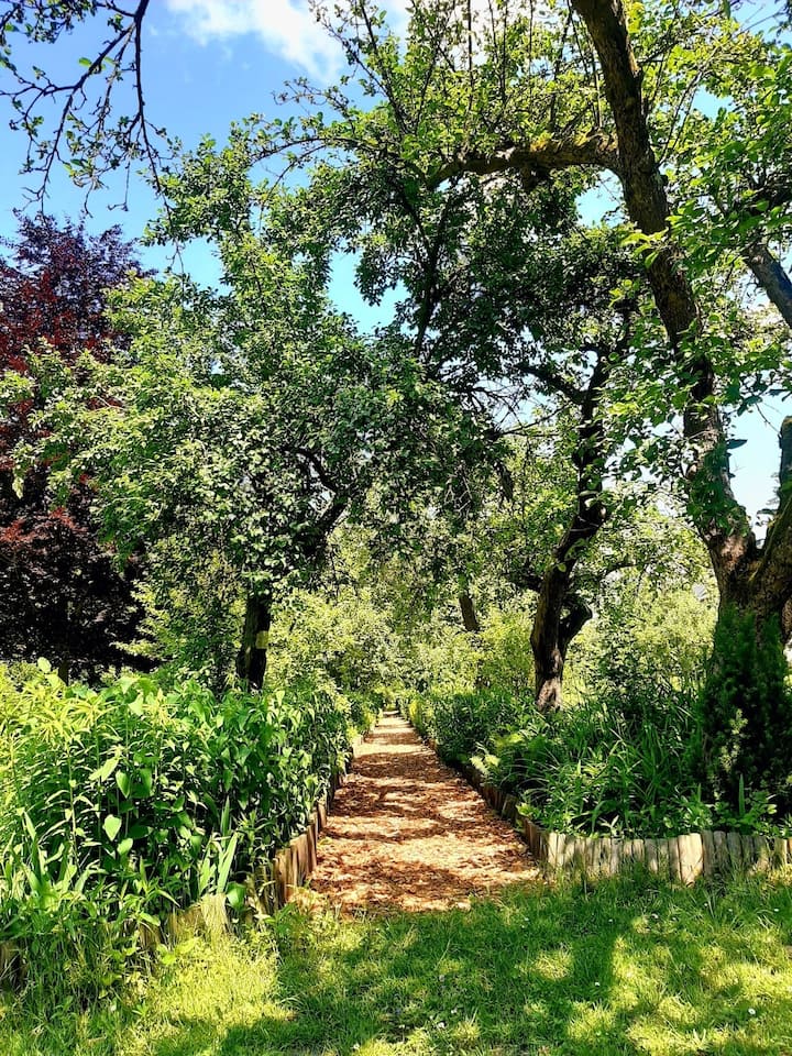 Doppelzimmer In Bad Freienwalde (Oder) (272847) - Bad Freienwalde